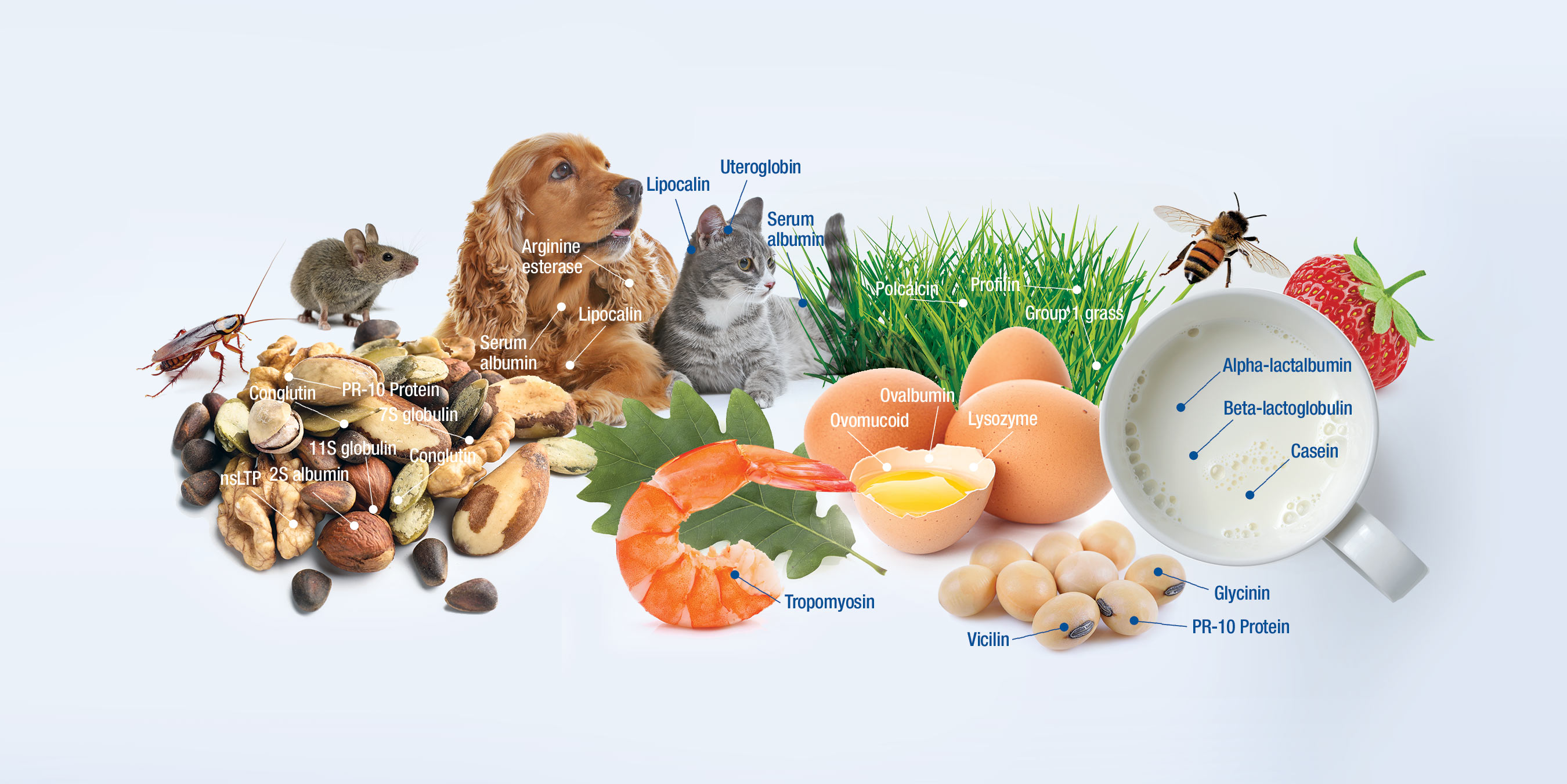 Ayass BioScience, LLC - Genetic Testing - Genetic Research