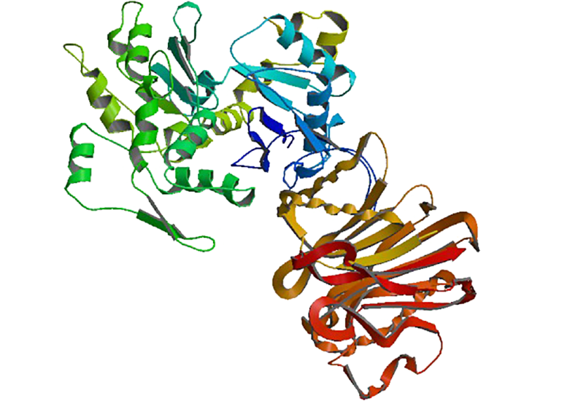 ACTA1 » Laboratory Testing and Research