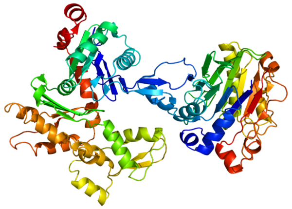 ACTA2 » Laboratory Testing and Research