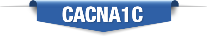 CACNA1C » Laboratory Testing and Research