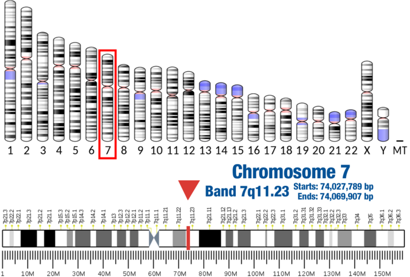 ELN » Laboratory Testing and Research
