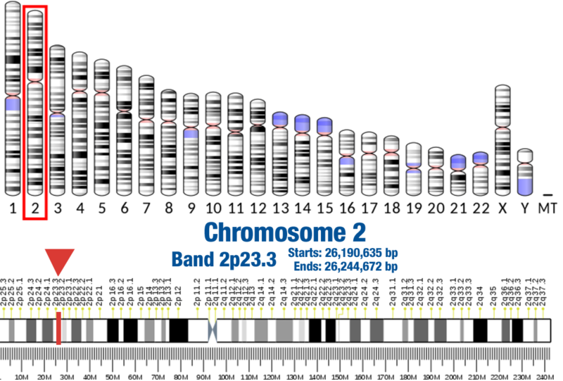 HADHA » Laboratory Testing and Research