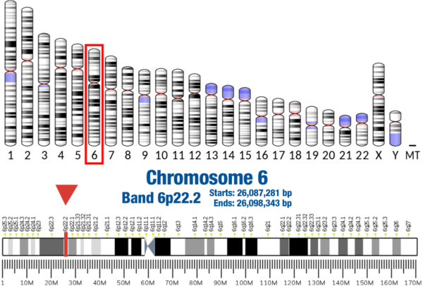 HFE » Laboratory Testing and Research