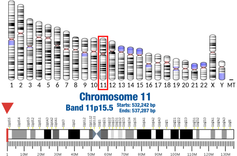 HRAS » Laboratory Testing and Research