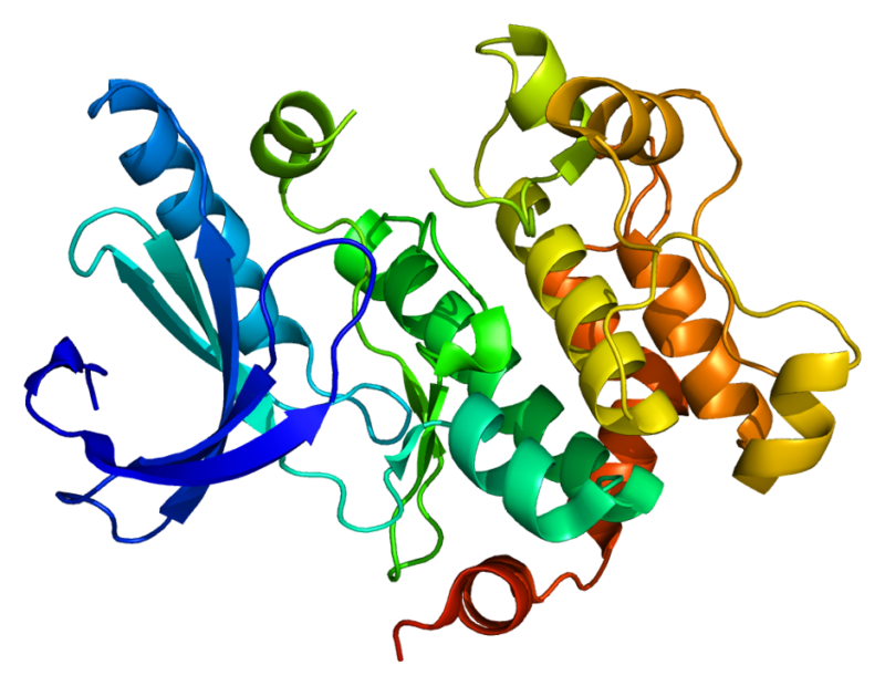 MAP2K1 » Laboratory Testing and Research