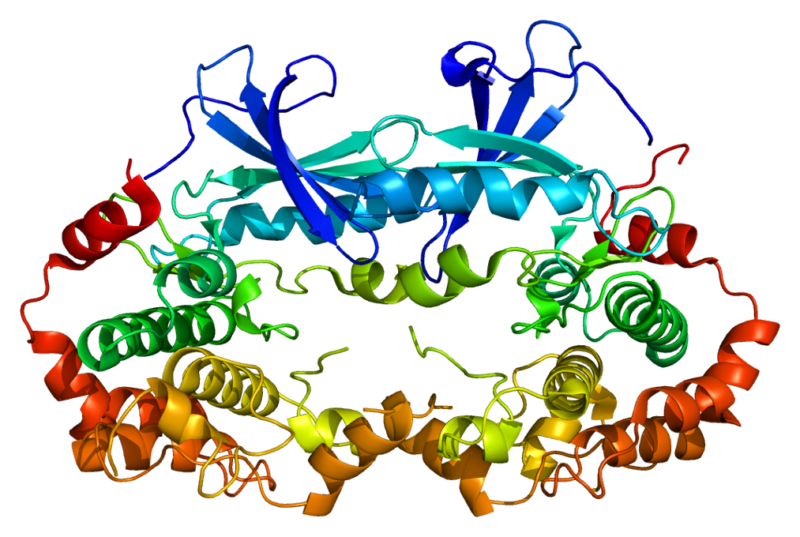 MAP2K2 » Laboratory Testing and Research