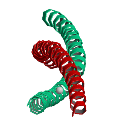 MYH7 » Laboratory Testing and Research