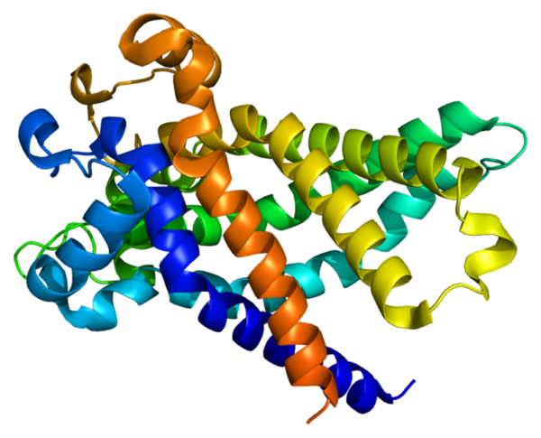 SLC25A4 » Laboratory Testing and Research