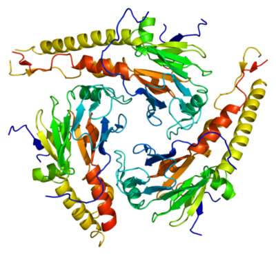SMAD4 » Laboratory Testing and Research