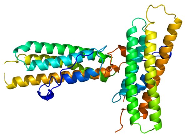 VCL » Laboratory Testing and Research