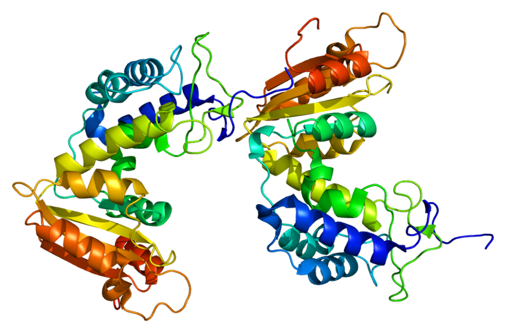 Human Clusters of Differentiation (CD-Markers) Pathology » Laboratory ...