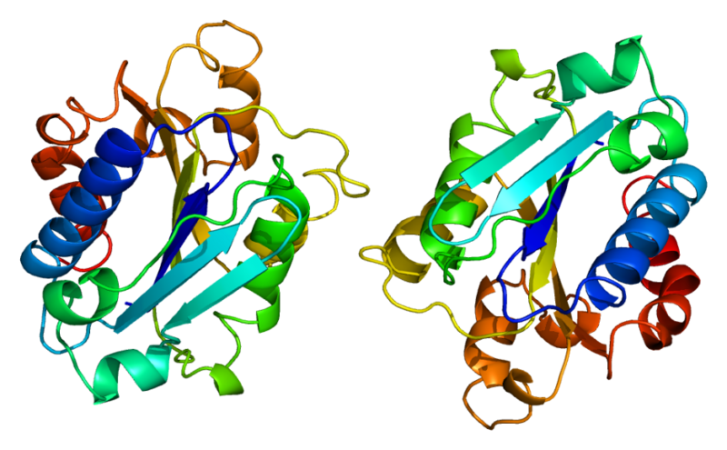 Human Clusters of Differentiation (CD-Markers) Pathology » Laboratory ...