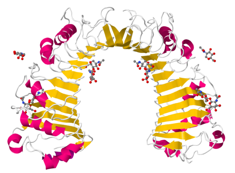 Human Clusters of Differentiation (CD-Markers) Pathology » Laboratory ...