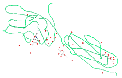 Human Clusters of Differentiation (CD-Markers) Pathology » Laboratory ...