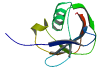 Human Clusters of Differentiation (CD-Markers) Pathology » Laboratory ...