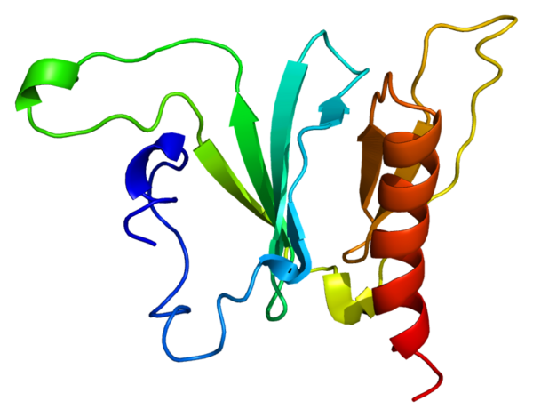 SOS1 » Laboratory Testing and Research