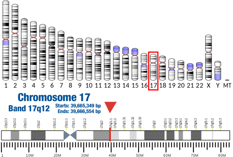 TCAP » Laboratory Testing and Research