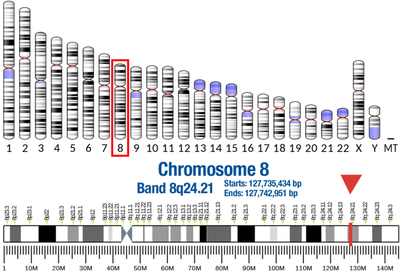 MYC » Laboratory Testing and Research
