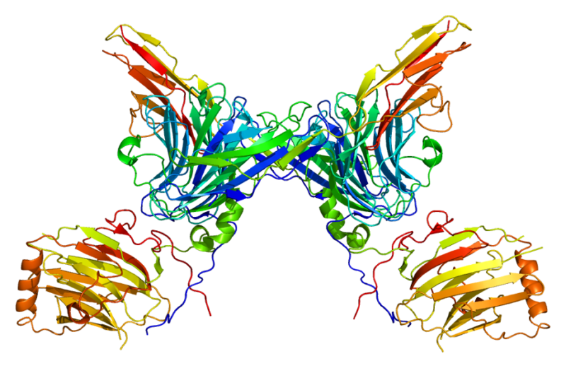 AXL » Laboratory Testing and Research