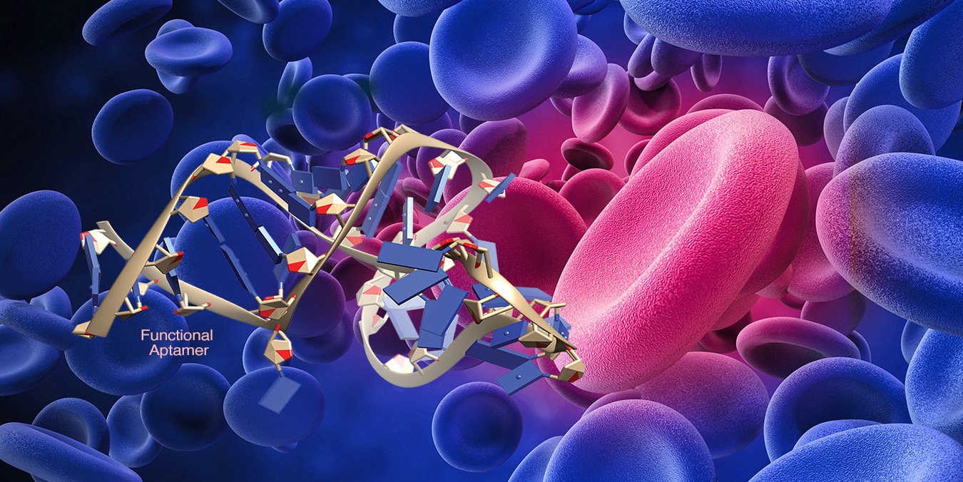 Thrombin Aptamer » Laboratory Testing and Research