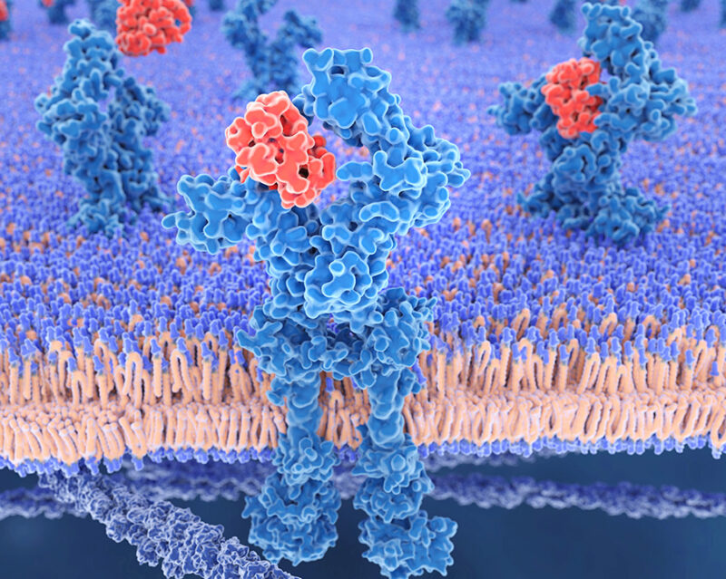 Cytokine Testing at Ayass BioScience, LLC » Laboratory Testing and Research